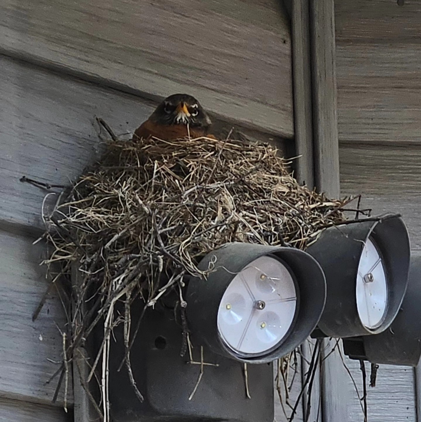 Home | Geophysical Institute