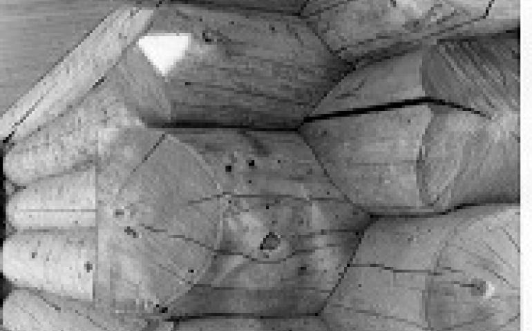 Cracking Logs and Warped Boards | Geophysical Institute